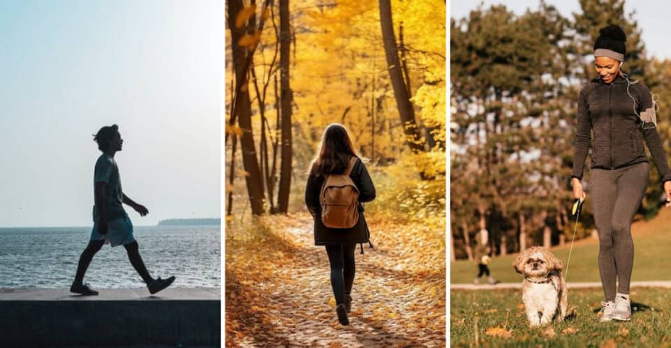 From Health to History: 12 Fun Facts About Walking - Factographia